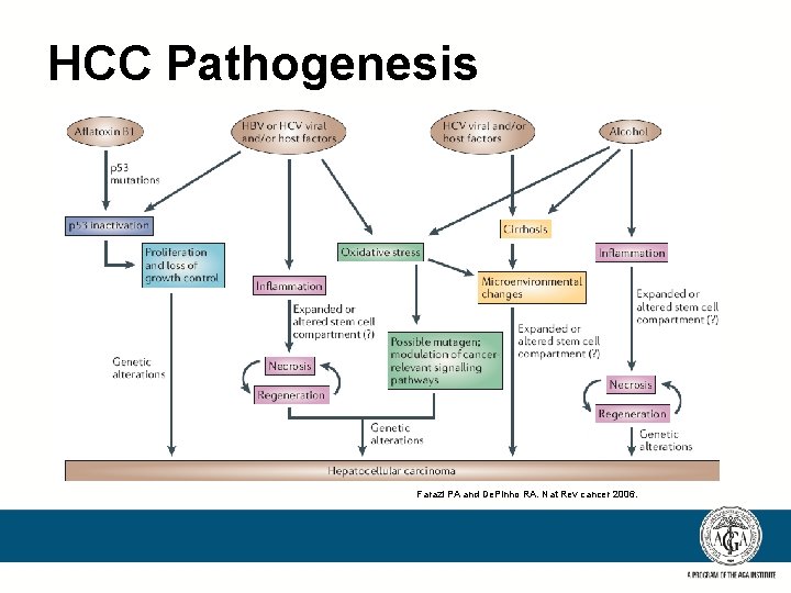 Primary Liver Cancer Hepatocellular Carcinoma and Cholangiocarinoma Patrick