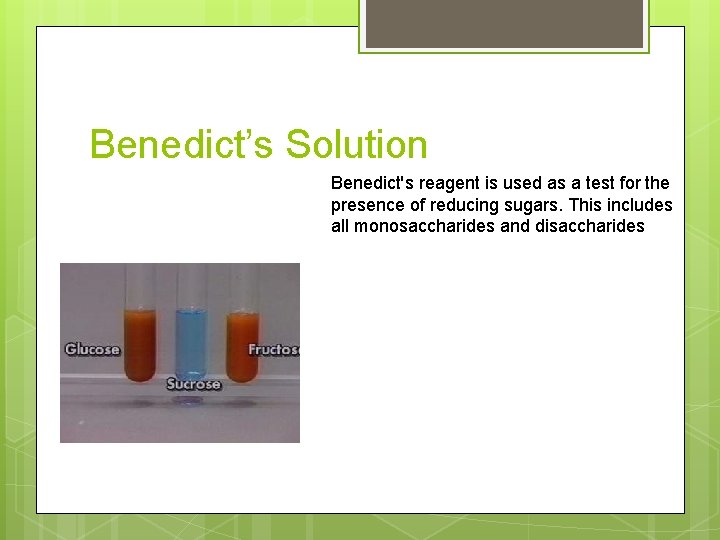 Organic Compounds are found in carbohydrates lipids protein