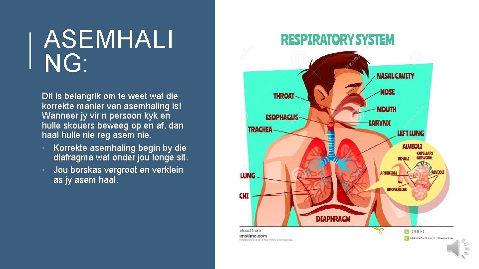 SKEPPENDE KUNS Hersiening Kwartaal 1 Drama BELANGRIKS TE