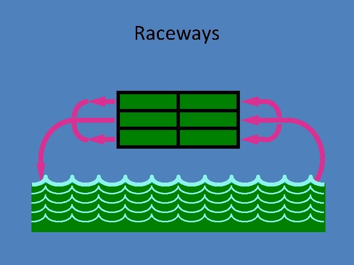 Raceways aquaculture Introduction Raceways are considered flowthrough ...