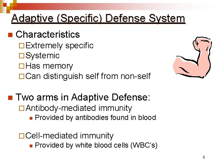 Immunity and Infection Chapter 17 The Chain of
