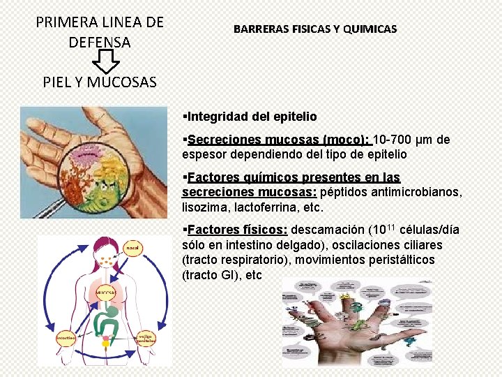 INMUNIDAD ANTIINFECCIOSA Defensas hospedador Evasion o resistencia ...