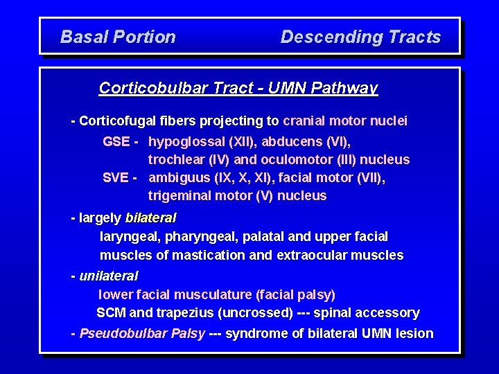 Nabeel Kouka MD DO MBA www brain 101