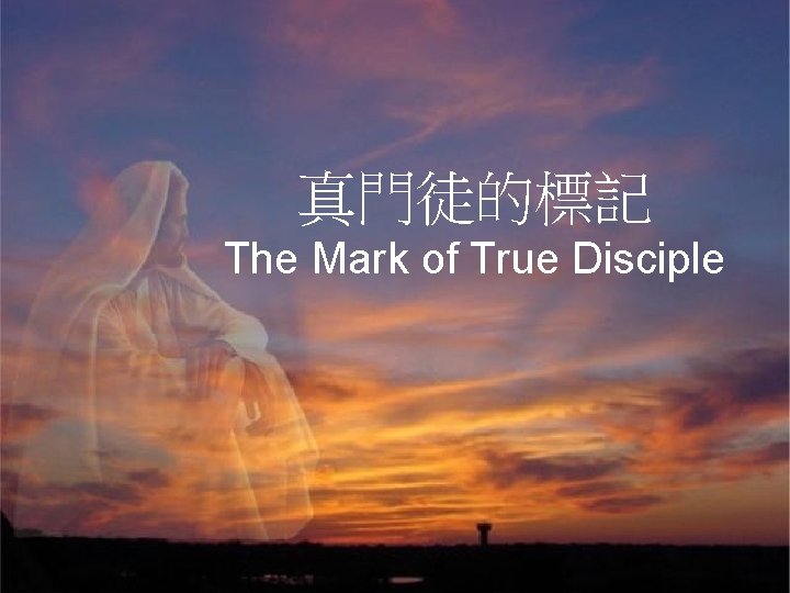 The Mark of True Disciple S 481 Theyll
