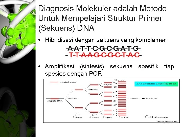APLIKASI BIOLOGI MOLEKULER PADA DIAGNOSIS PENYAKIT 13 Juni