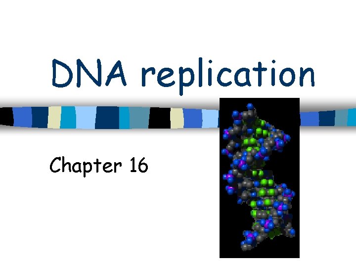 DNA replication Chapter 16 Summary of history n