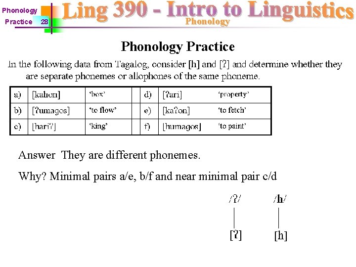 Phonology Questions Comments Last minute Phonetics questions Phonetics