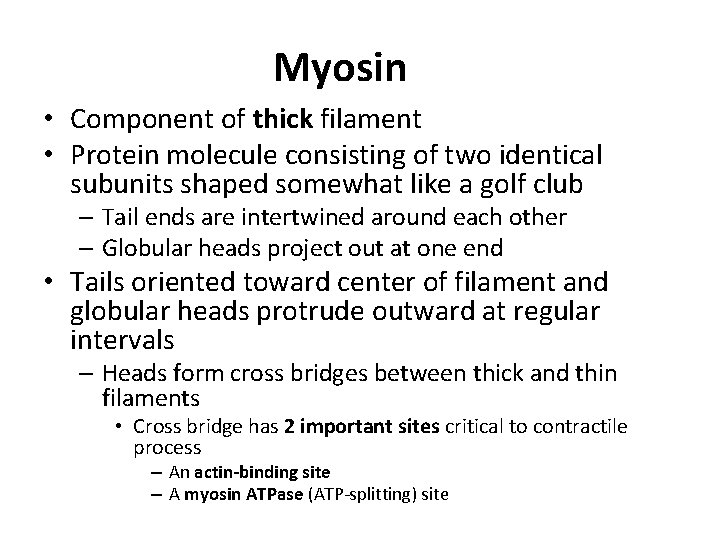 STRUCTURE OF SKELETAL MUSCLE Dr Mohammed Sharique Ahmed
