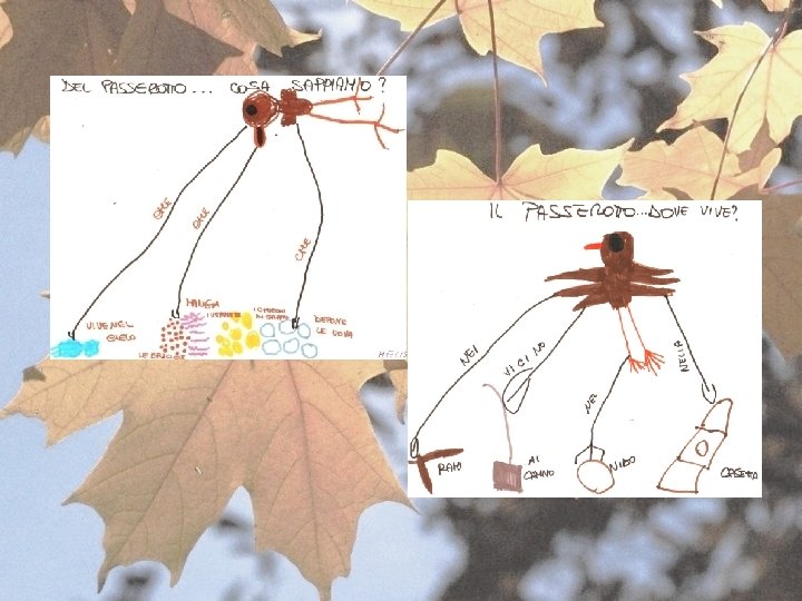 IL PASSEROTTO VERSO CIP E OLTRE Scuola dell