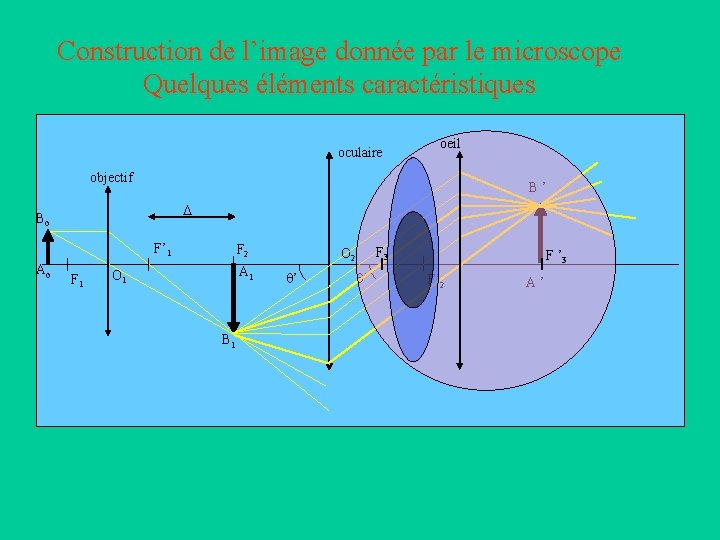 Le microscope lments constitutifs l un oculaire l
