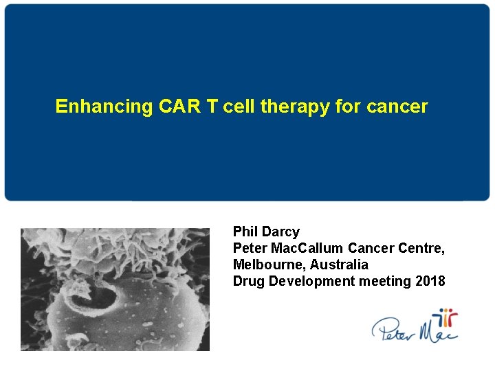 Enhancing CAR T cell therapy for cancer Phil