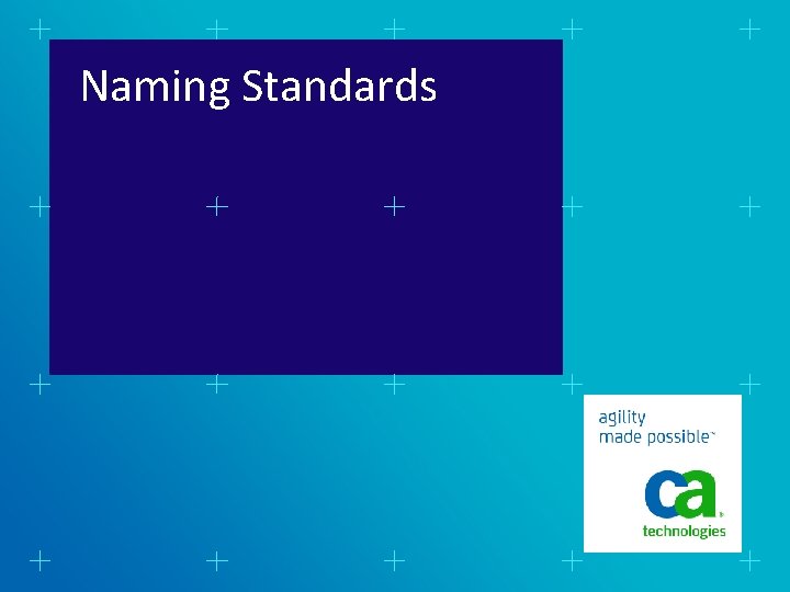 Best Practices for PIM Policy Management CA Services