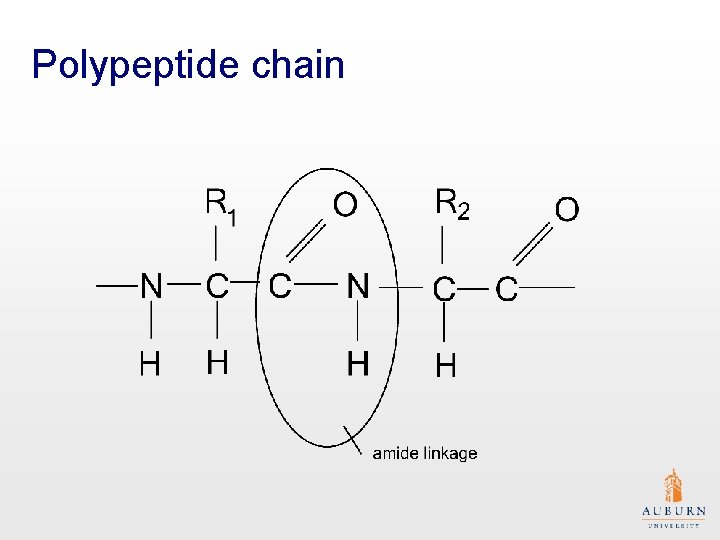 Introduction to Fibers II Measuring Properties Moisture Terms