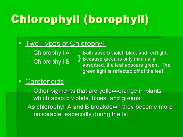The Energy Conversion Process of Photosynthesis Chloroplasts The