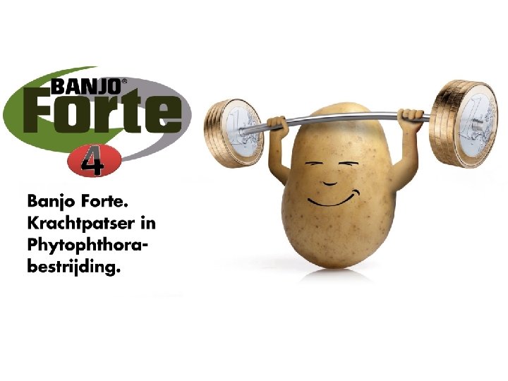 Aardappelen Banjo Forte 200 gl fluazinam 200 gl