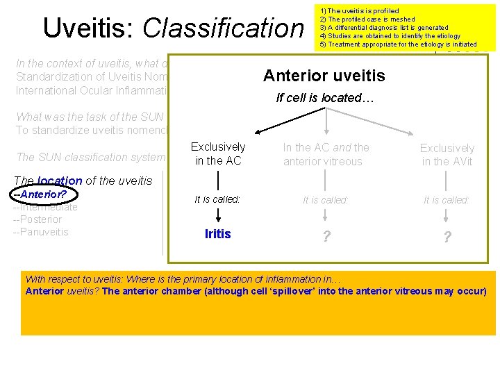 Uveitis Basics What is uveitis Uveitis Basics What