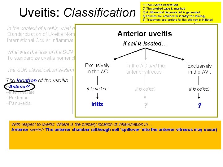 Uveitis Basics What is uveitis Uveitis Basics What