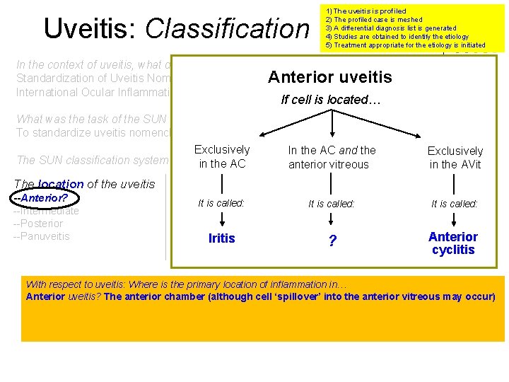 Uveitis Basics What is uveitis Uveitis Basics What