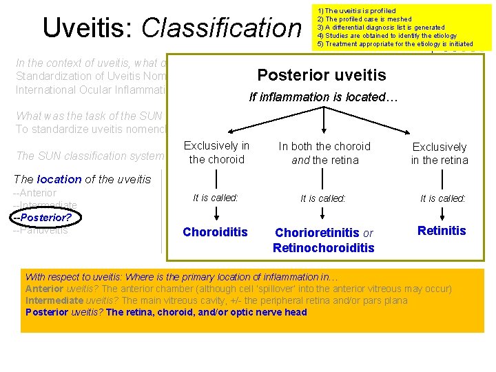 Uveitis Basics What is uveitis Uveitis Basics What