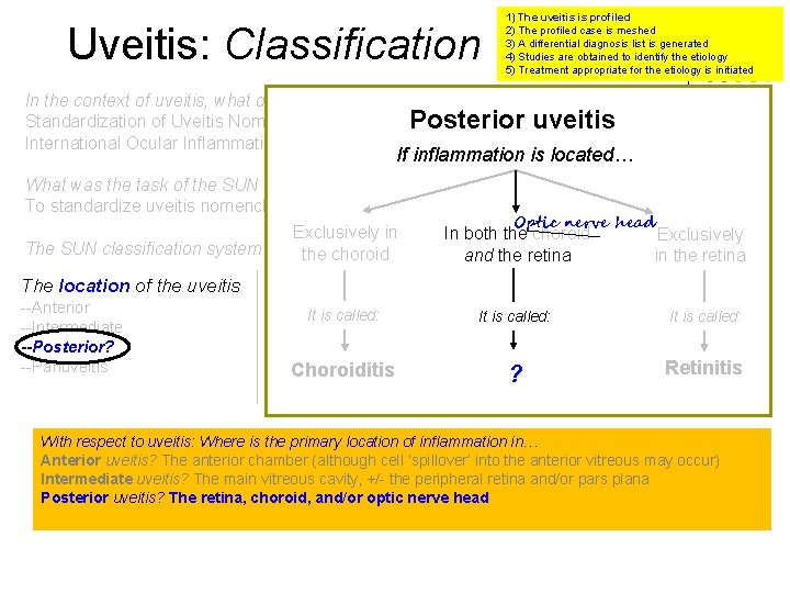 Uveitis Basics What is uveitis Uveitis Basics What