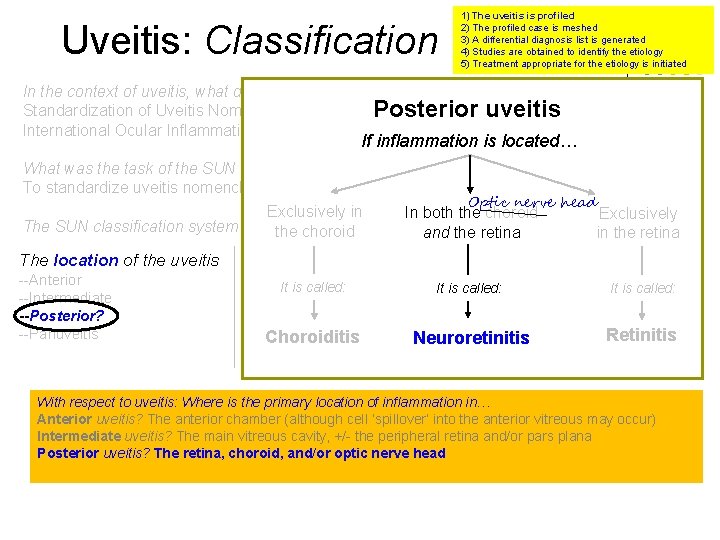 Uveitis Basics What is uveitis Uveitis Basics What