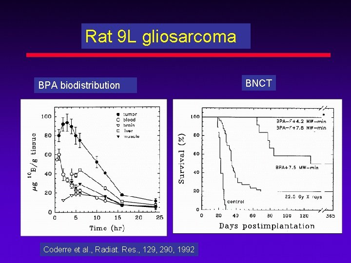 Boron Neutron Capture Therapy BNCT History Preclinical Research