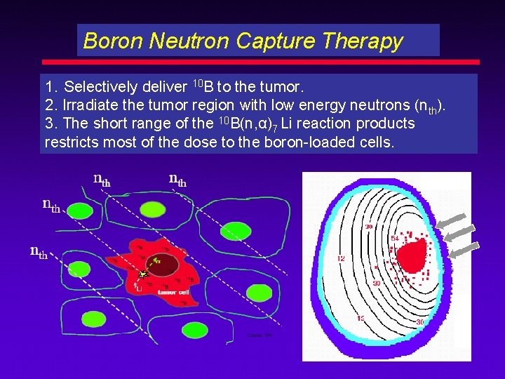 Boron Neutron Capture Therapy BNCT History Preclinical Research