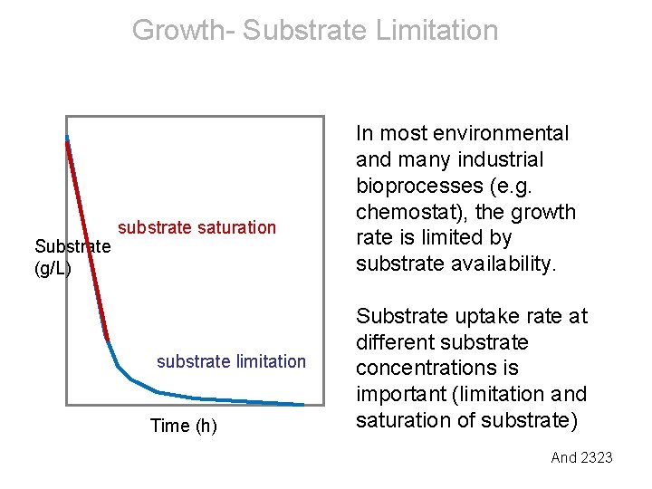 Growth Overview Microbial Growth Overview of terms exponential