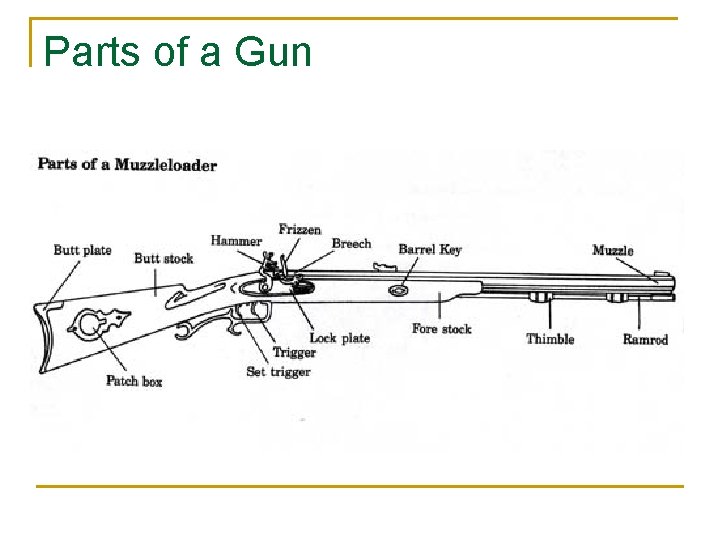 Firearms Evolution Teaching Military History 101 First Division