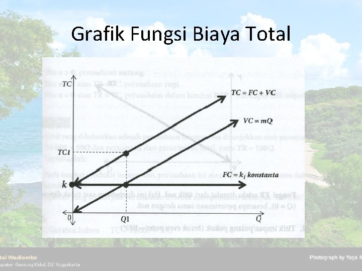 APLIKASI FUNGSI LINEAR DALAM EKONOMI BISNIS Fungsi Permintaan
