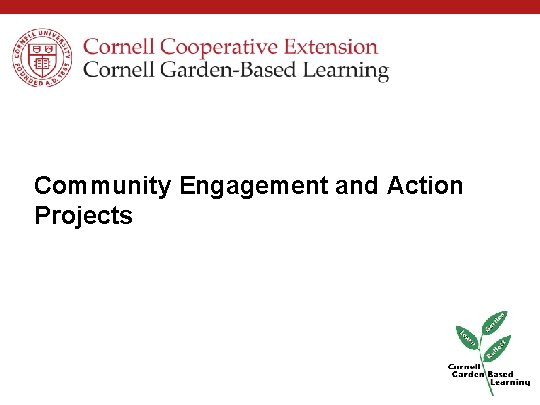 Community Engagement and Action Projects Learning Objectives Reflect