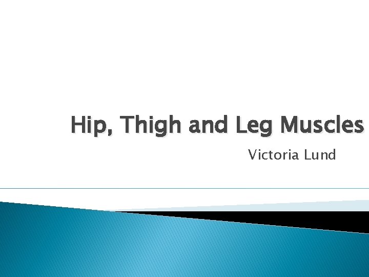 Hip Thigh and Leg Muscles Victoria Lund Types