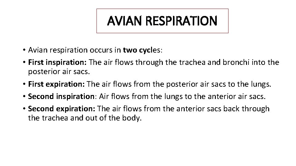 AVIAN PHYSIOLOGY Respiratory System Do Dr Yasemin SALGIRLI