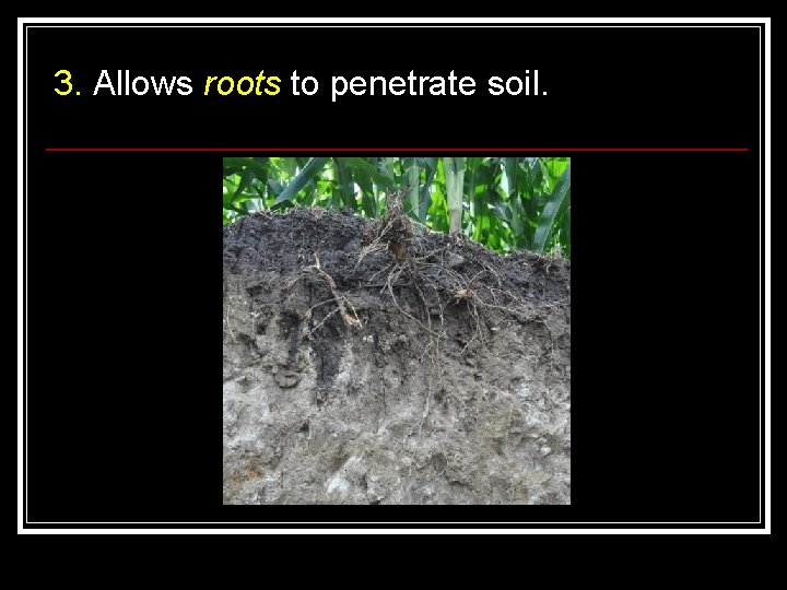 Soil Aeration And Hydric Soils Why is soil