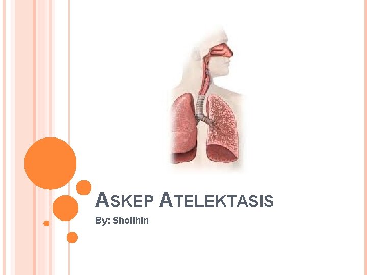 ASKEP ATELEKTASIS By Sholihin ANATOMI FISIOLOGI DEFINISI Atelektasis