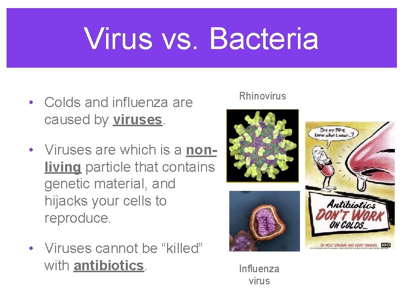 Immune System Guarding against disease You wake up