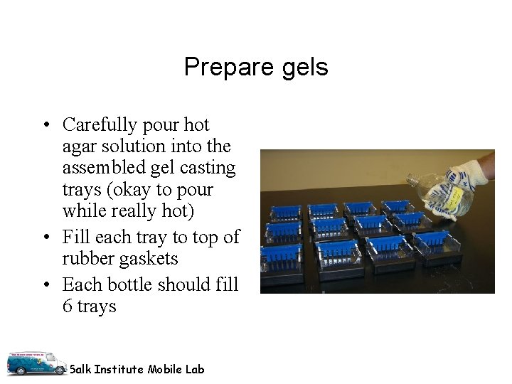 Gel Electrophoresis Teacher Instructions Edvotek Set Up 12