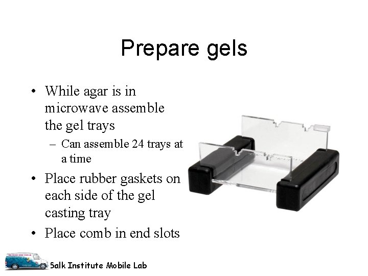 Gel Electrophoresis Teacher Instructions Edvotek Set Up 12