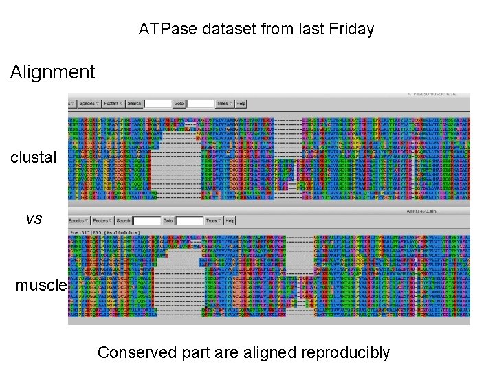 ATPase dataset from last Friday Alignment clustal vs