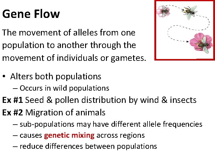 Chapter 21 PART 2 Changes in Gene Pools