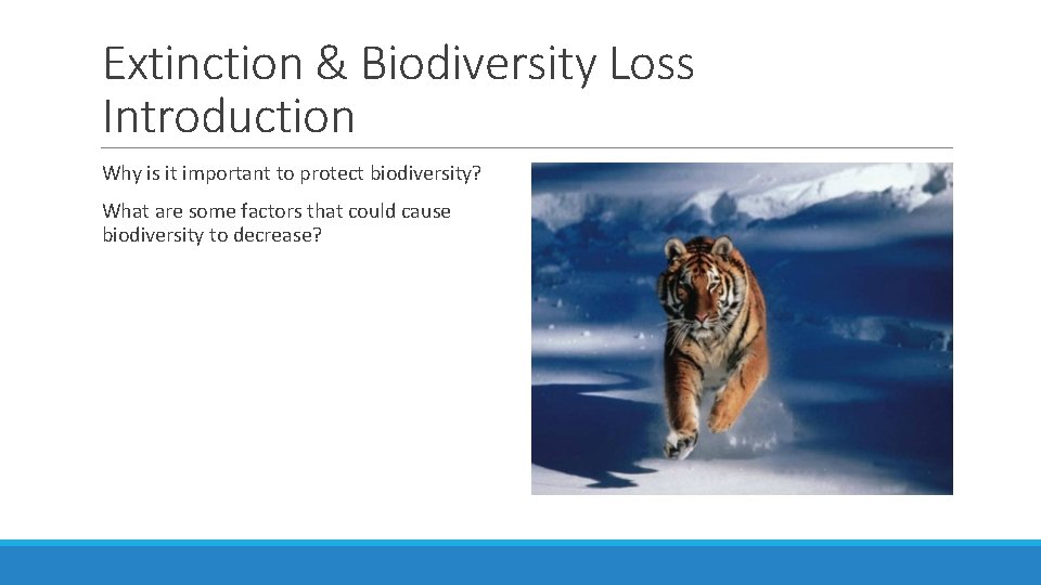 Extinction Biodiversity Loss Introduction Why is it important