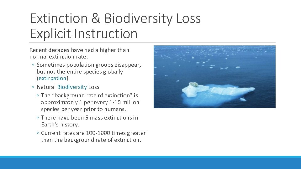 Extinction Biodiversity Loss Introduction Why is it important