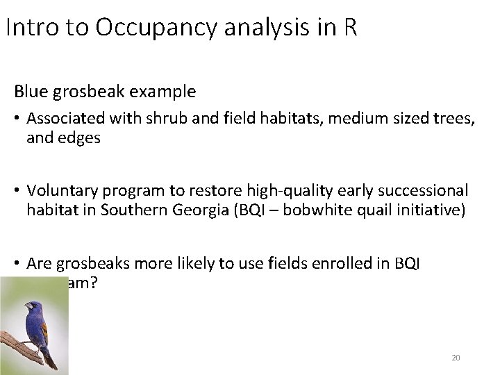 Introduction to Occupancy Models Key to inclass exercise
