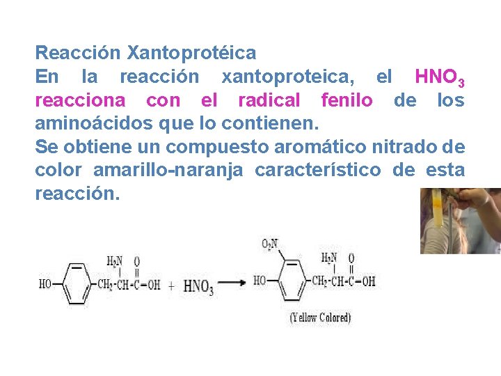 SEMANA 29 AMINOCIDOS Y PEPTIDOS ALFA AMINOCIDOS Son