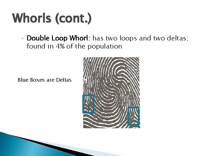 FINGERPRINT ANALYSIS HistoryField 1823 description of fingerprint types