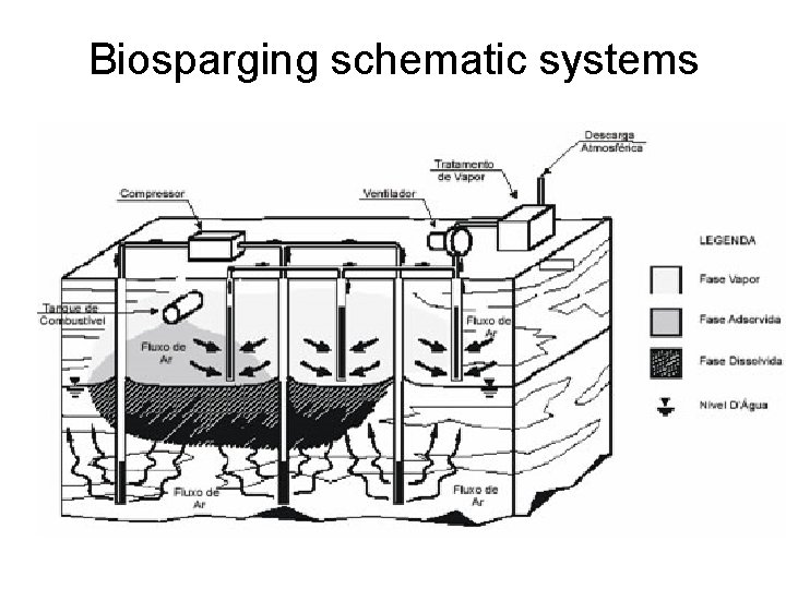 MIC 303 INDUSTRIAL AND ENVIRONMENTAL MICROBIOLOGY CHAPTER 11