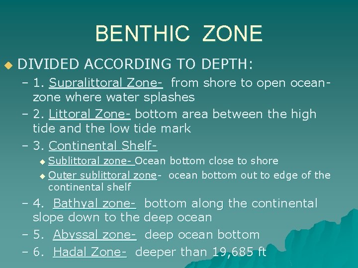 UNIT 2 OCEAN LIFESTYLES ZONES AND ENVIRONMENTS u