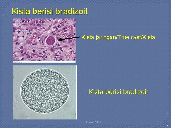 Toxoplasma gondii Heny Arwati Dept of Parasitology Faculty