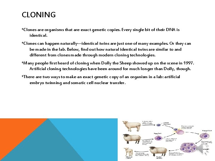 ARTIFICIAL INTELLIGENCE AND CLONING BY ULKAR CHOBANOVA As