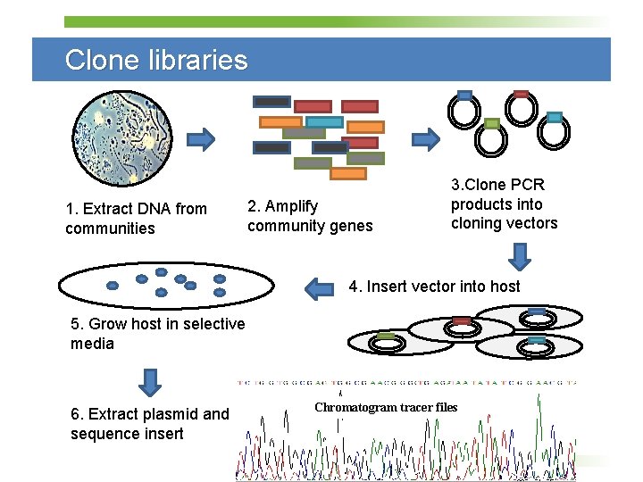 Tools for microbial community analysis What I am